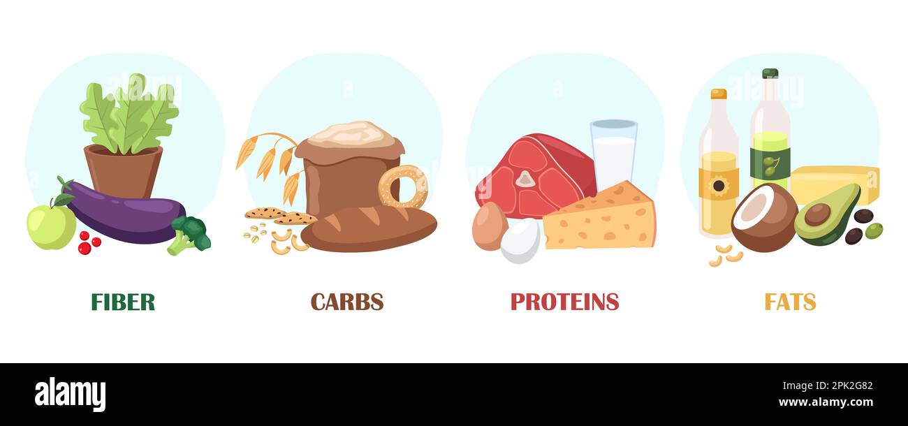 Sources of fiber, carbs, proteins, fats vector illustrations set Stock ...