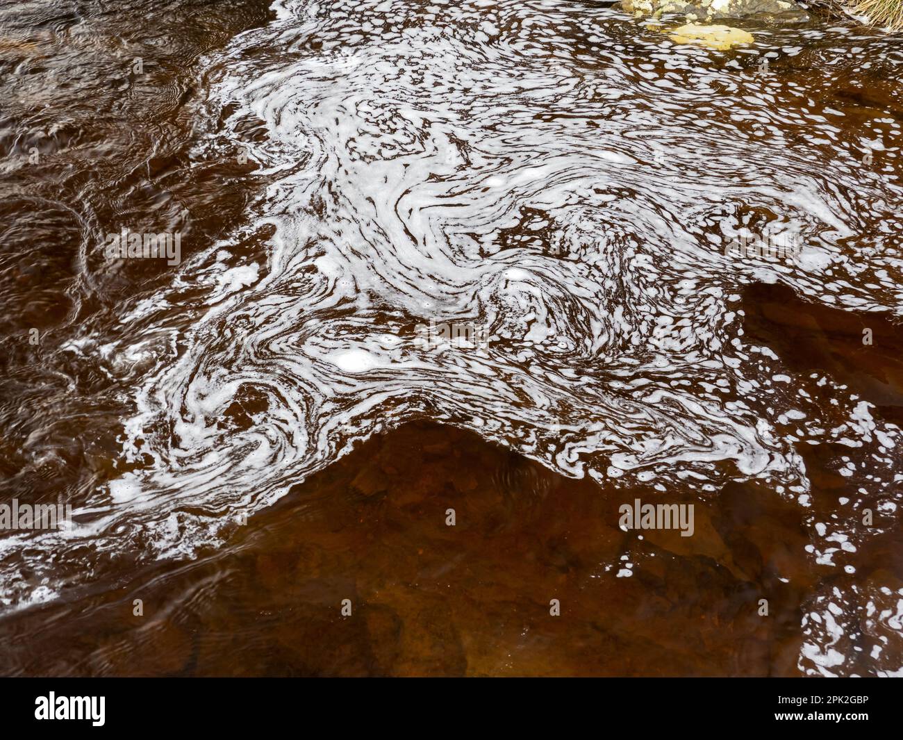 Foam patterns on peat stained water in Austwick, Yorkshire Dales, UK ...