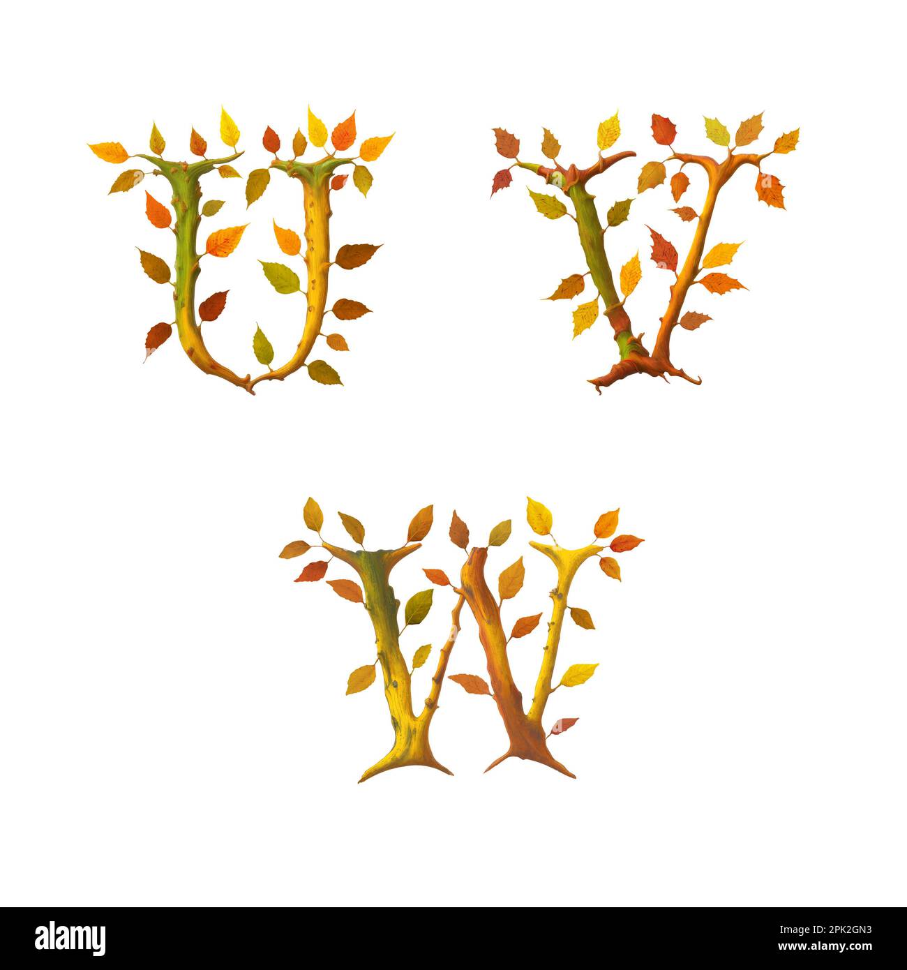 3D illustration of stylized autumn leaf tree alphabet - letters U-W ...