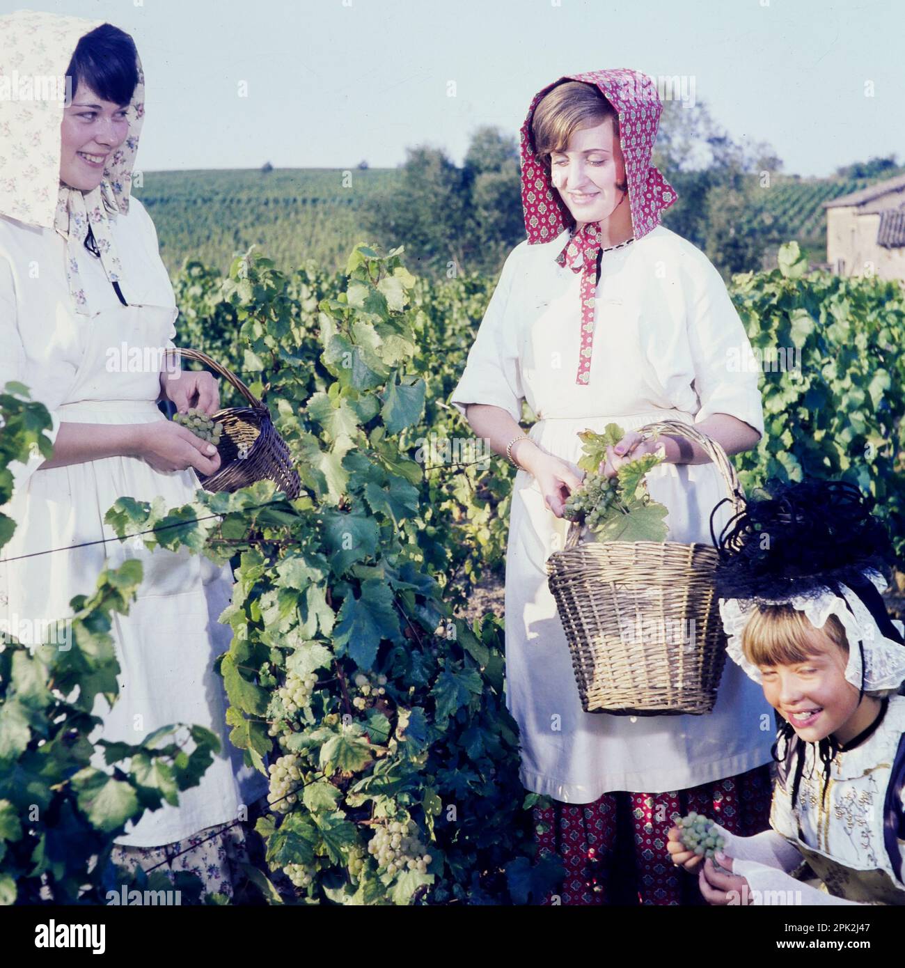 Archives 60ies hi-res stock photography and images - Alamy