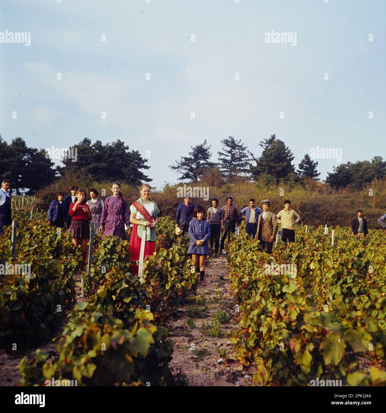 Archives 60ies hi-res stock photography and images - Alamy