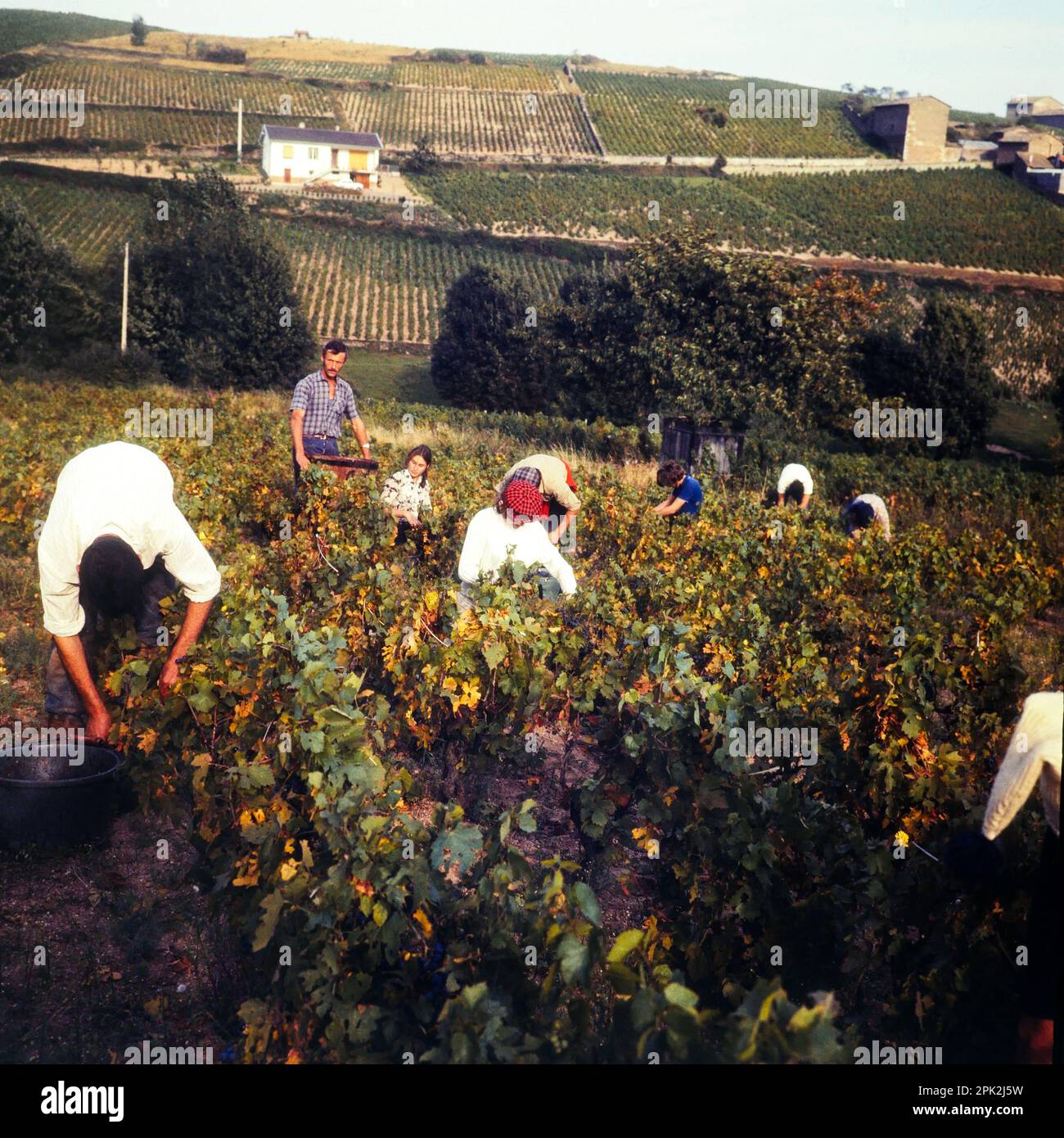 Archives 60ies hi-res stock photography and images - Alamy