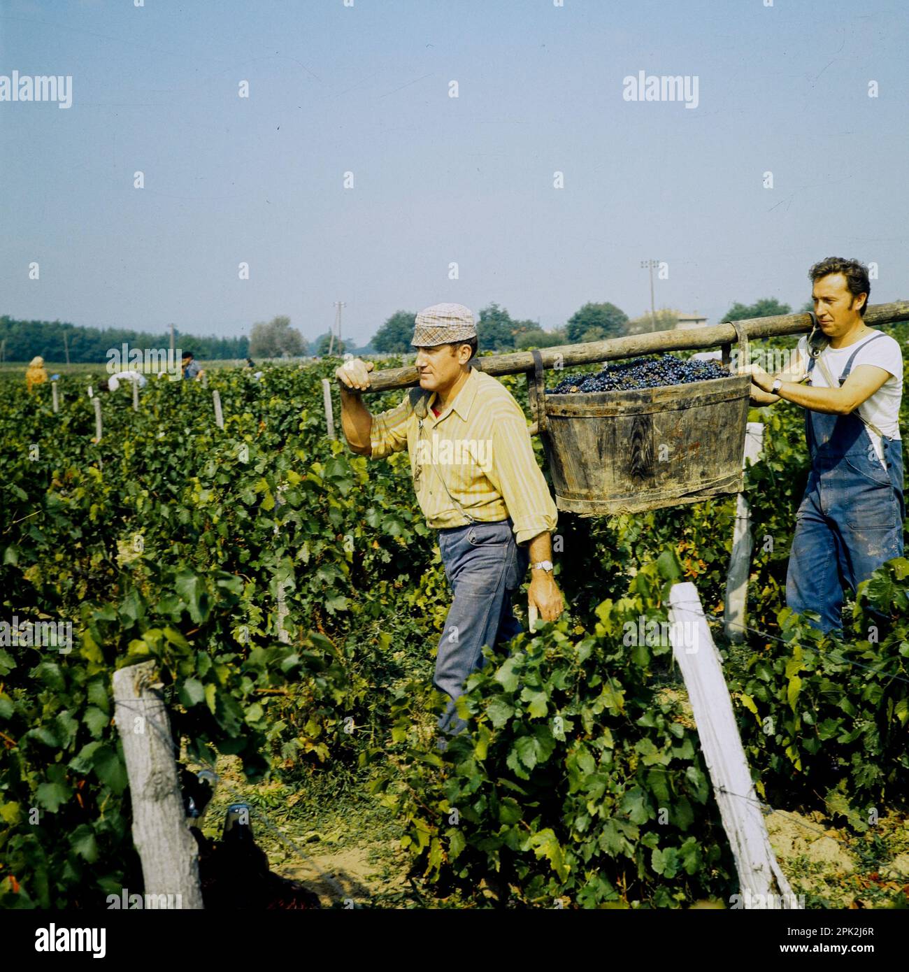 Archives 60ies hi-res stock photography and images - Alamy