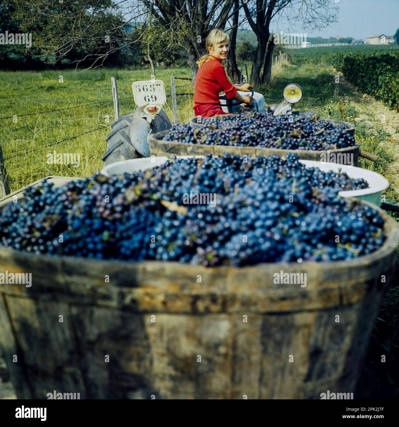 Archives 60ies hi-res stock photography and images - Alamy