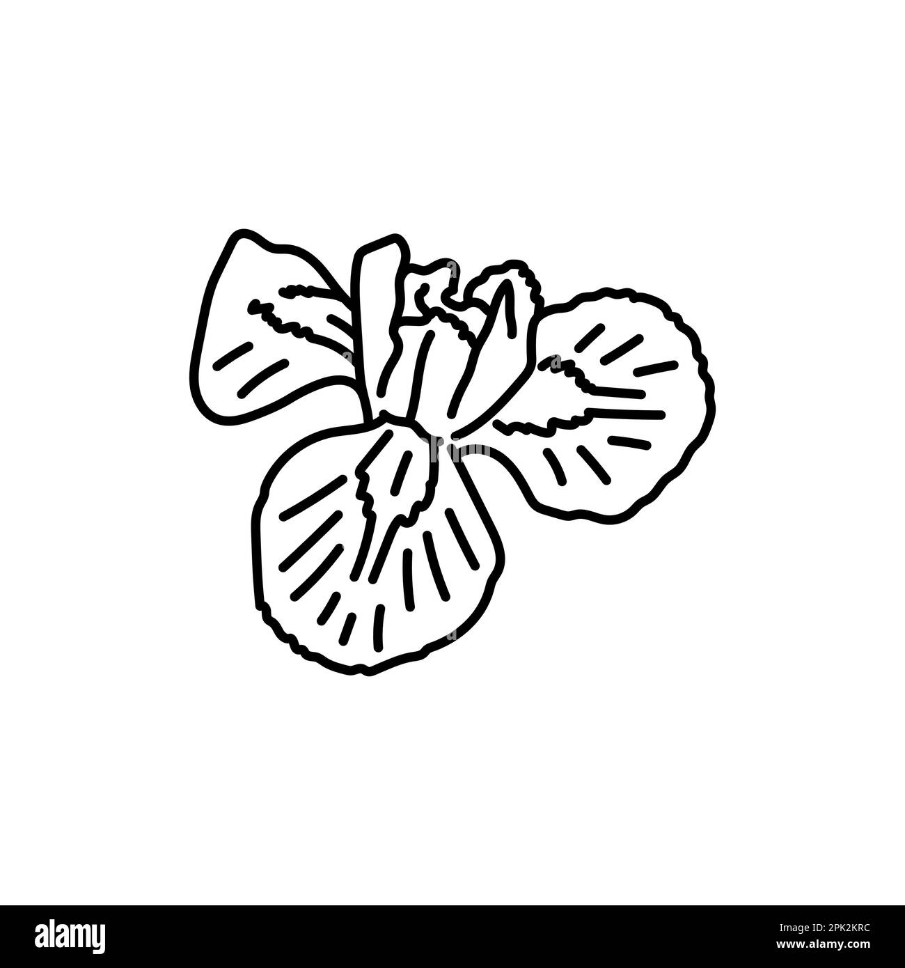 Iris flower black line icon. Pictogram for web page, mobile app, promo ...