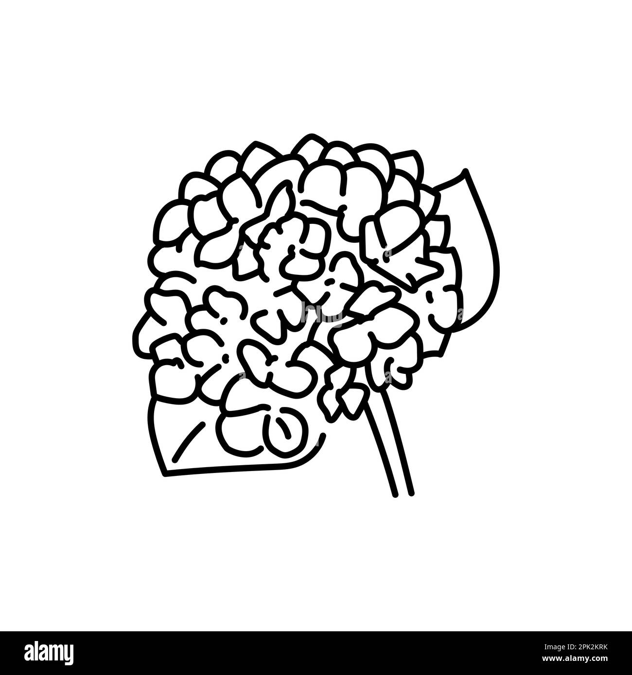Hortensia Hydrangea flowers black line icon. Pictogram for web page ...