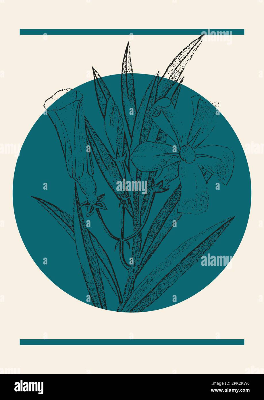 Exotic tropical flower branch botanical poster. Linear illustration in ...