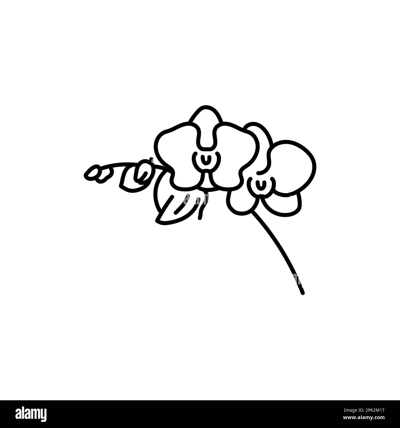 Vector orhid Black and White Stock Photos & Images - Alamy