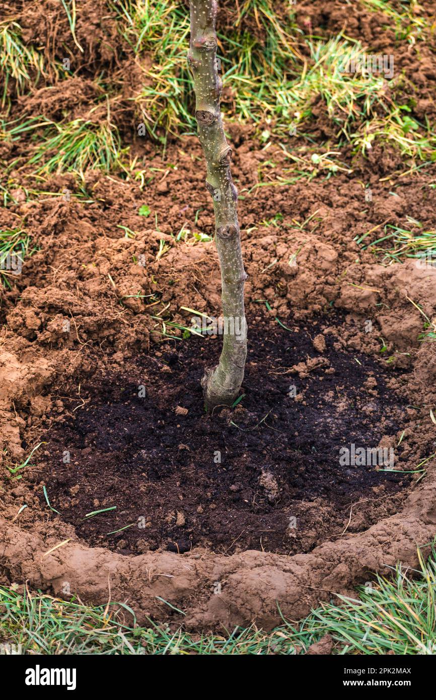 Greenwork hi-res stock photography and images - Alamy