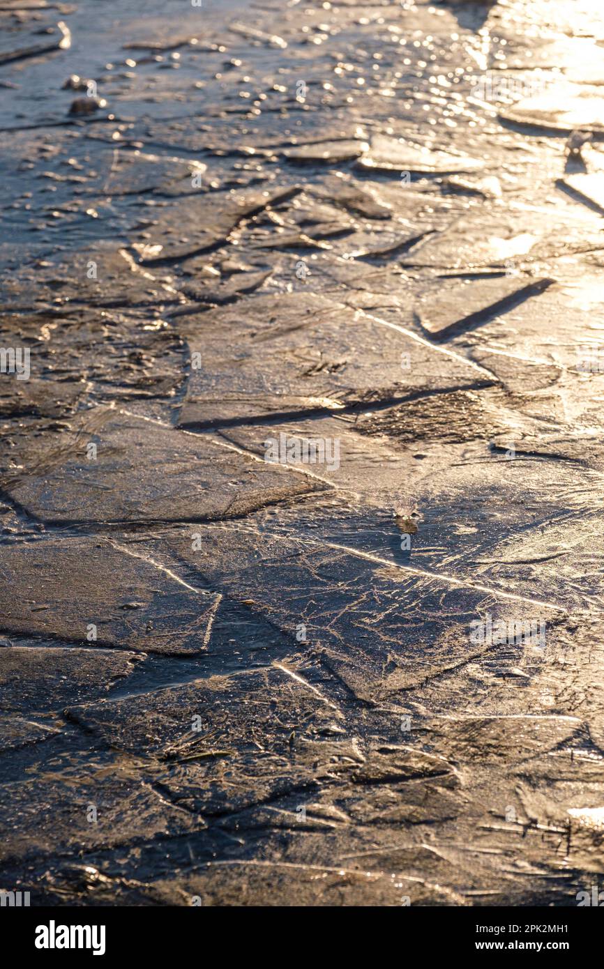 A large frozen puddle in a farmer's field with chunks of broken ice ...