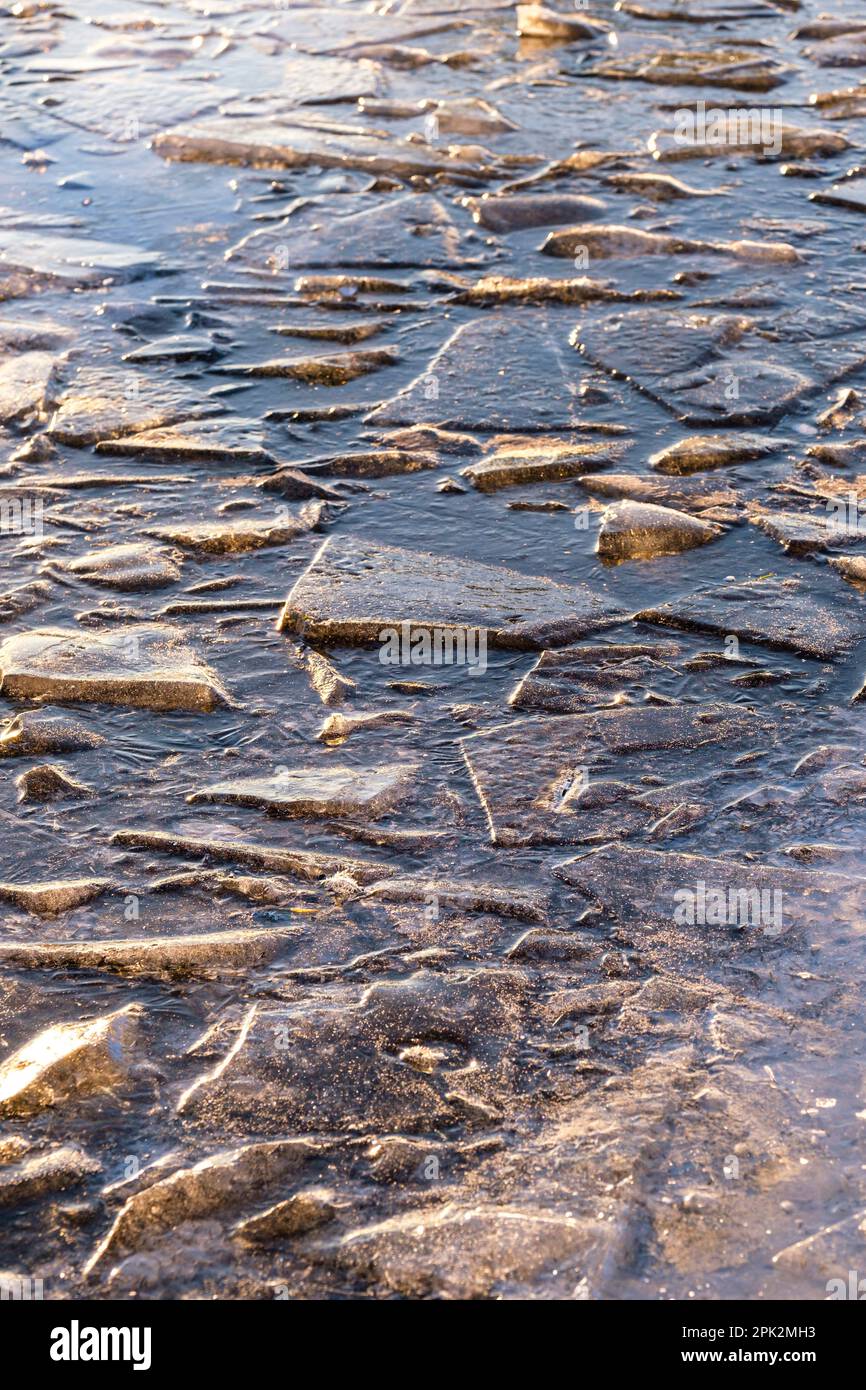 A large frozen puddle in a farmer's field with chunks of broken ice ...