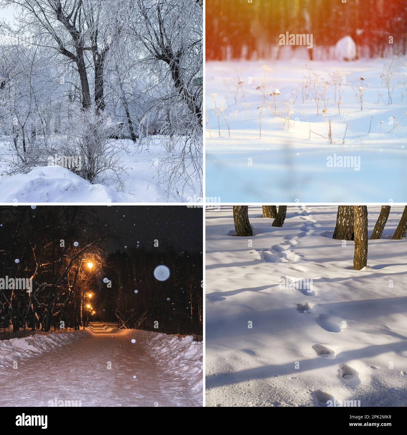 Collection of pictures winter season, web banner. Nature collage with ...