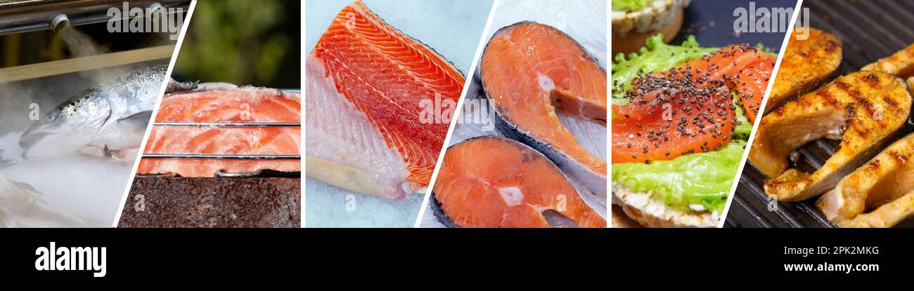 Fish salmon collage banner, seafood. Salmon Assortment. Horizontal ...