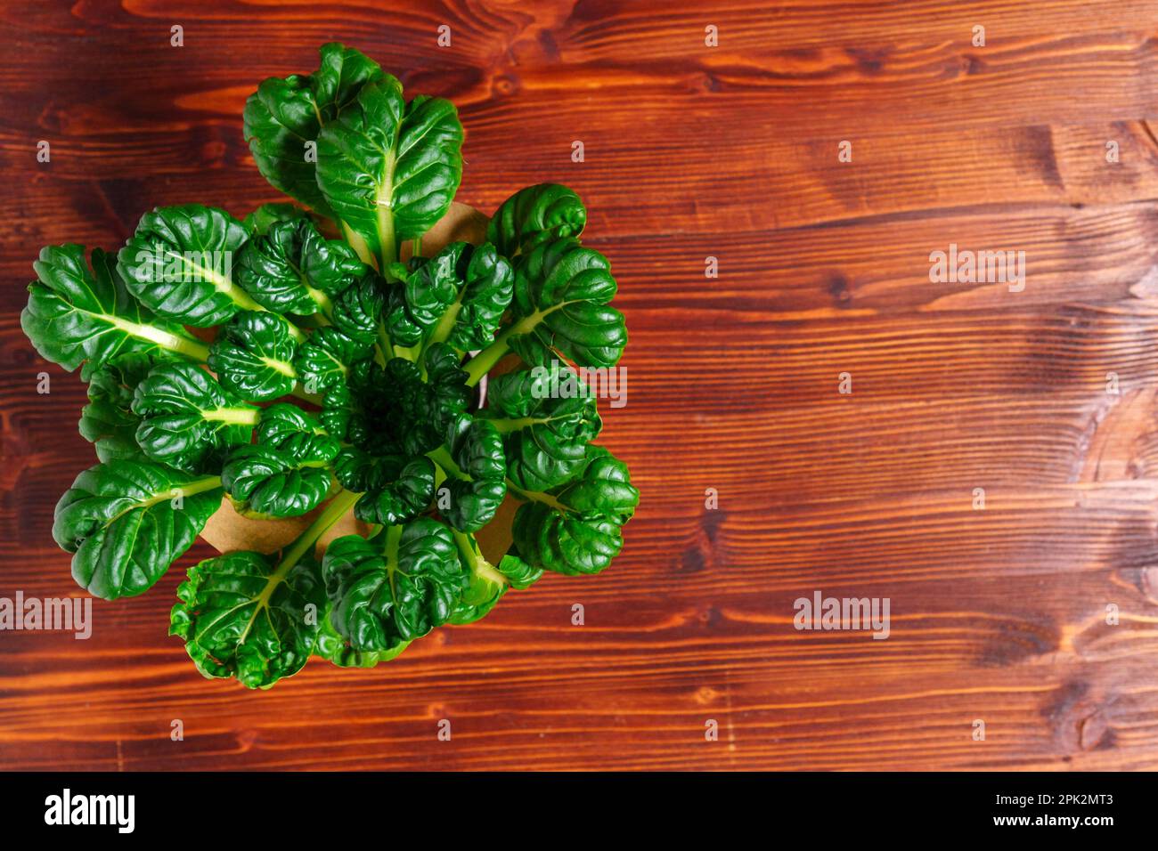 Tatsoy is an Asian variety of Brassica rapa, grown for cooking ...