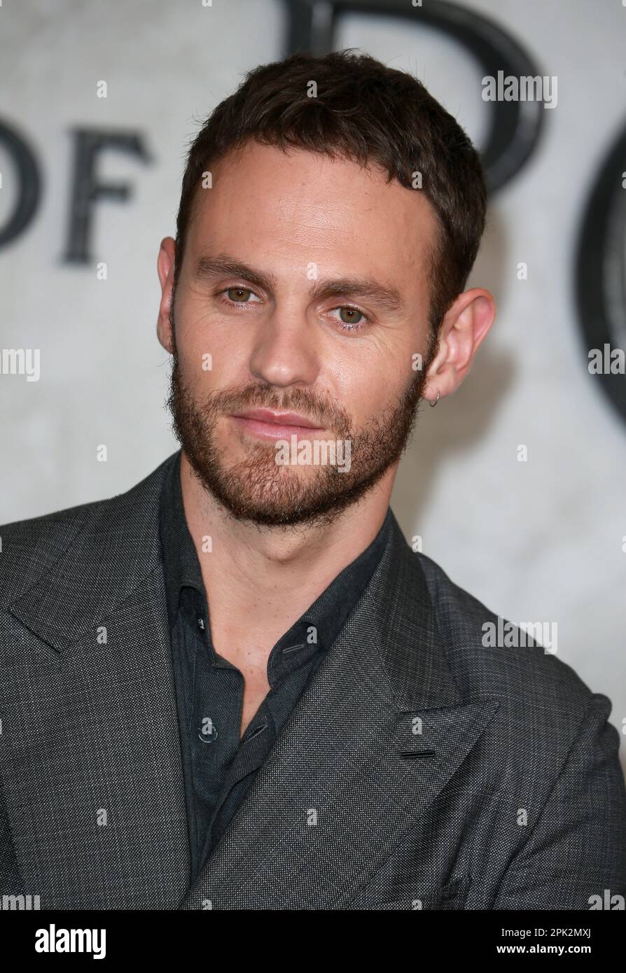 Charlie Vickers attends the World Premiere of "The Lord Of The Rings ...