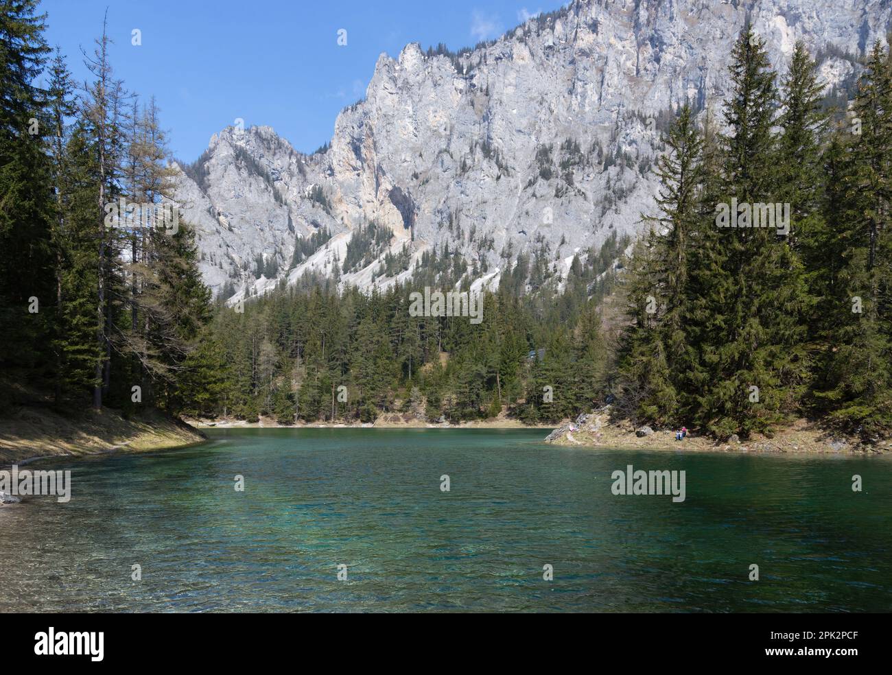 Gruner see underwater hi-res stock photography and images - Alamy
