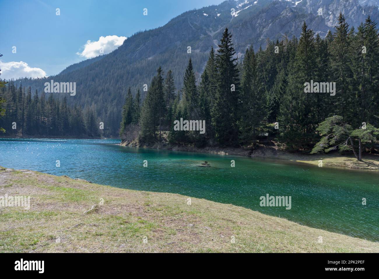 Gruner see austria hi-res stock photography and images - Alamy