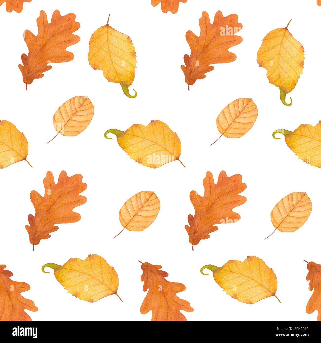 Watercolor Autumn Fall Seamless Pattern. Leaf Pattern. Botanical ...