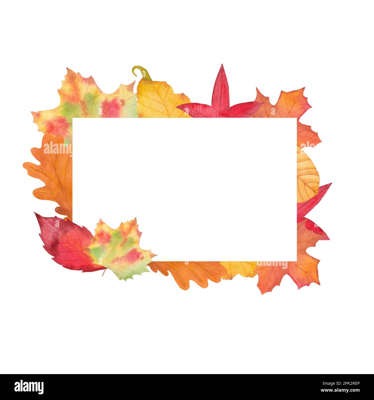 Autumn Watercolor Frame with Leaves. Isolated on White Background. Fall ...