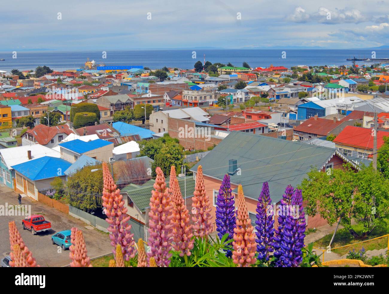 Punta Arenas, Chileatlantic Stock Photo - Alamy