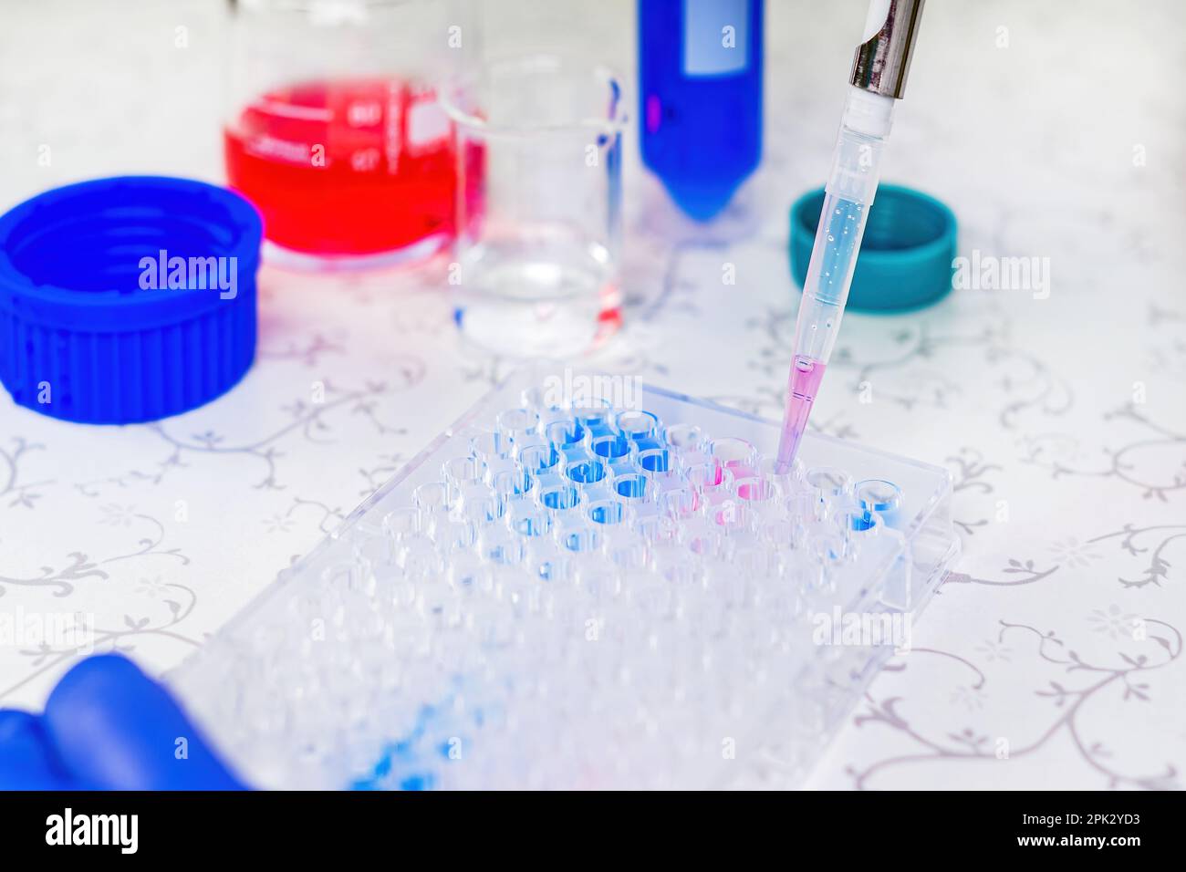Scientist doctor pipetting samples in the lab with many scientific ...