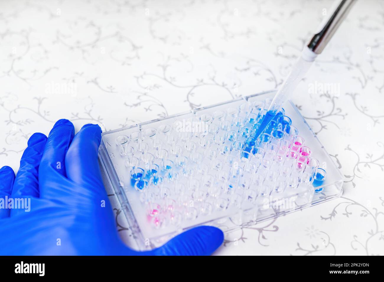 Scientist doctor pipetting samples in the lab with many scientific ...