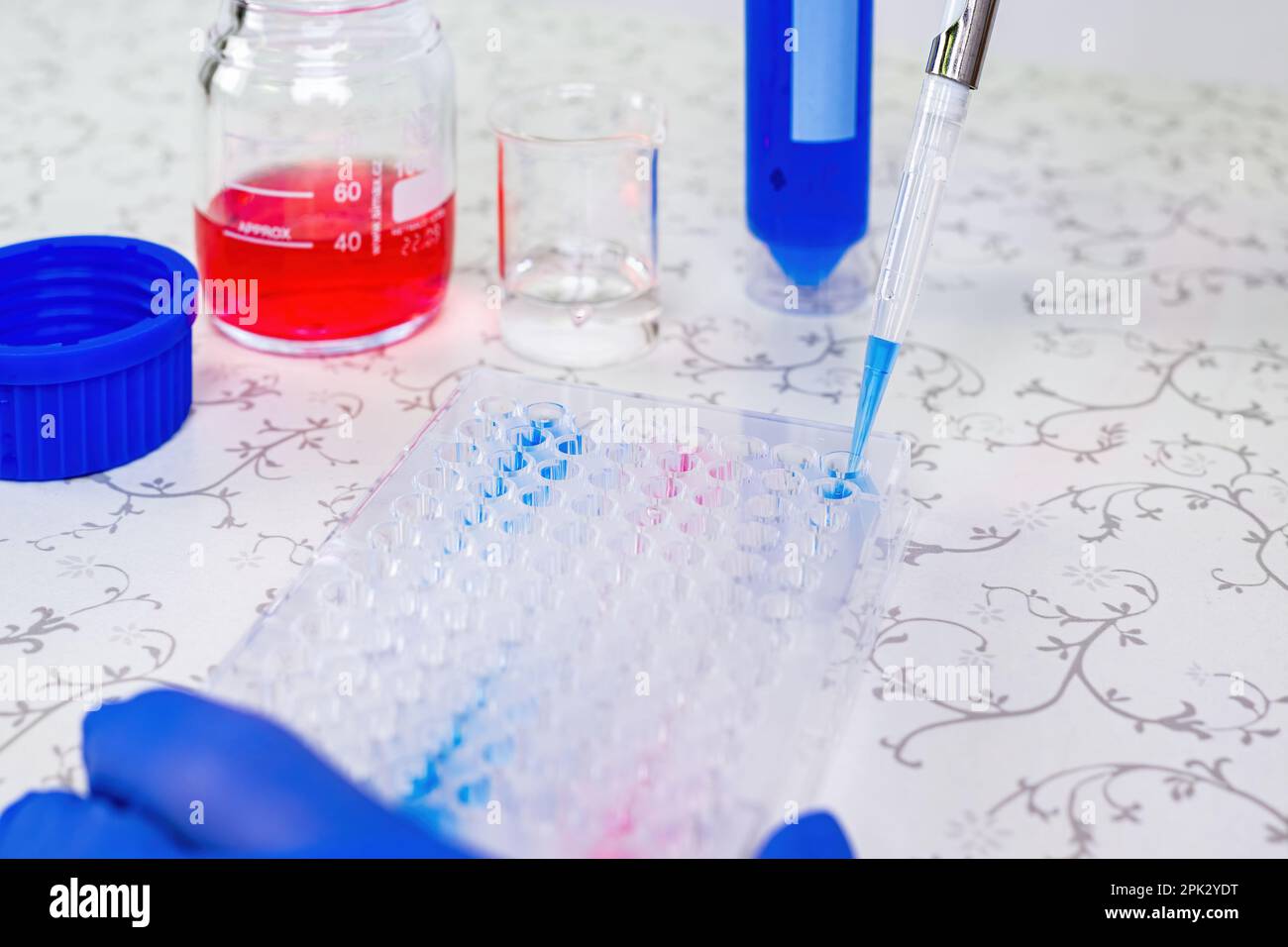 Scientist doctor pipetting samples in the lab with many scientific ...