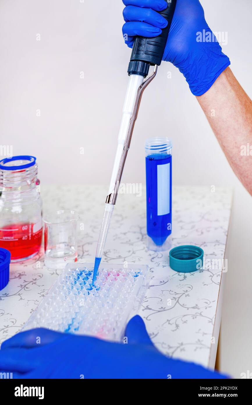 Scientist doctor pipetting samples hi-res stock photography and images ...