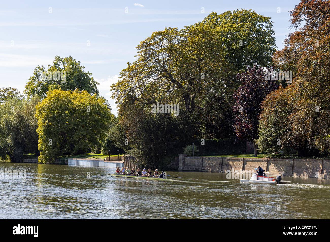 Rowers on the River Thames, Wallingford, Oxfordshire, UK Stock Photo ...