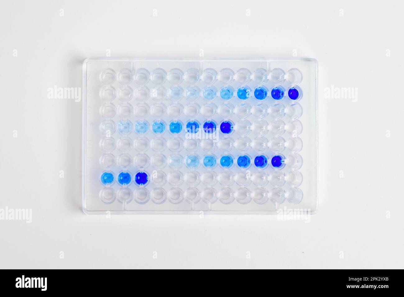 Samples on the laboratory desk in the lab Stock Photo - Alamy