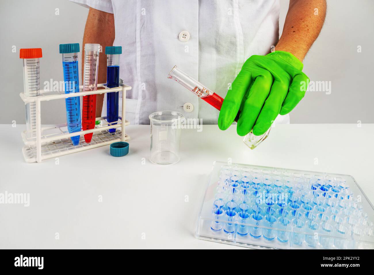 A scientist doctor pouring red fluid (blood) from a test tube into a ...