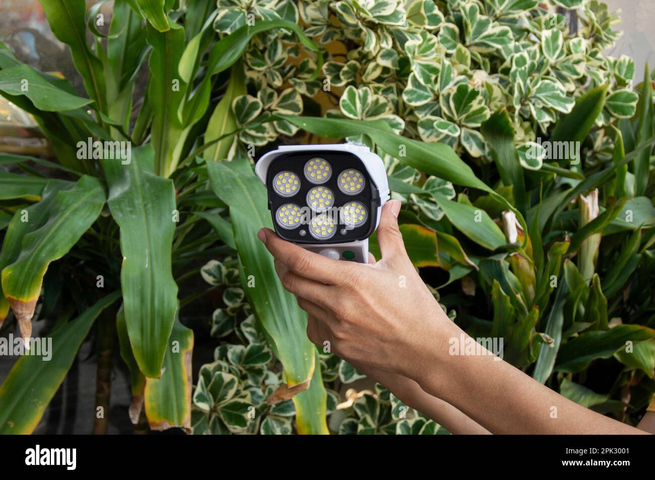 Energy lamps hi-res stock photography and images - Alamy
