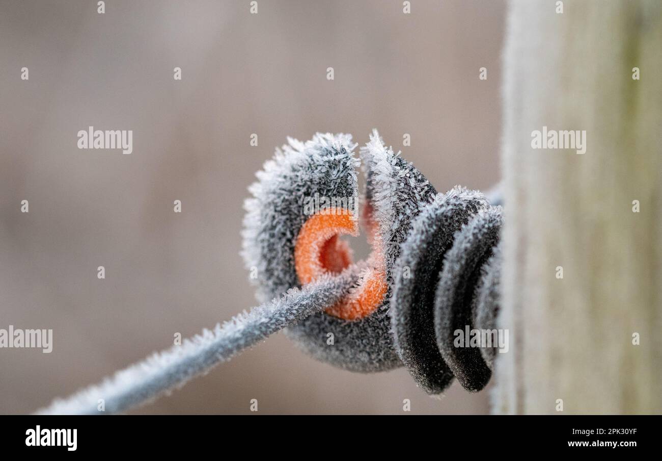Closeup electrical wire fence hi-res stock photography and images - Alamy
