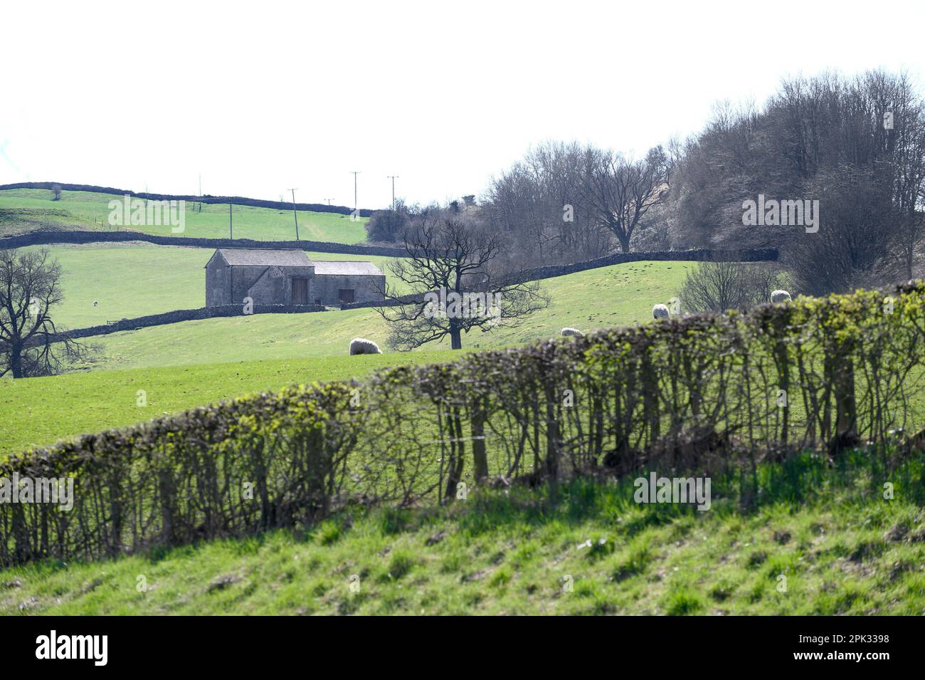 Southern Lake District, UK. Near Kendal - farm buildings, dry stone ...