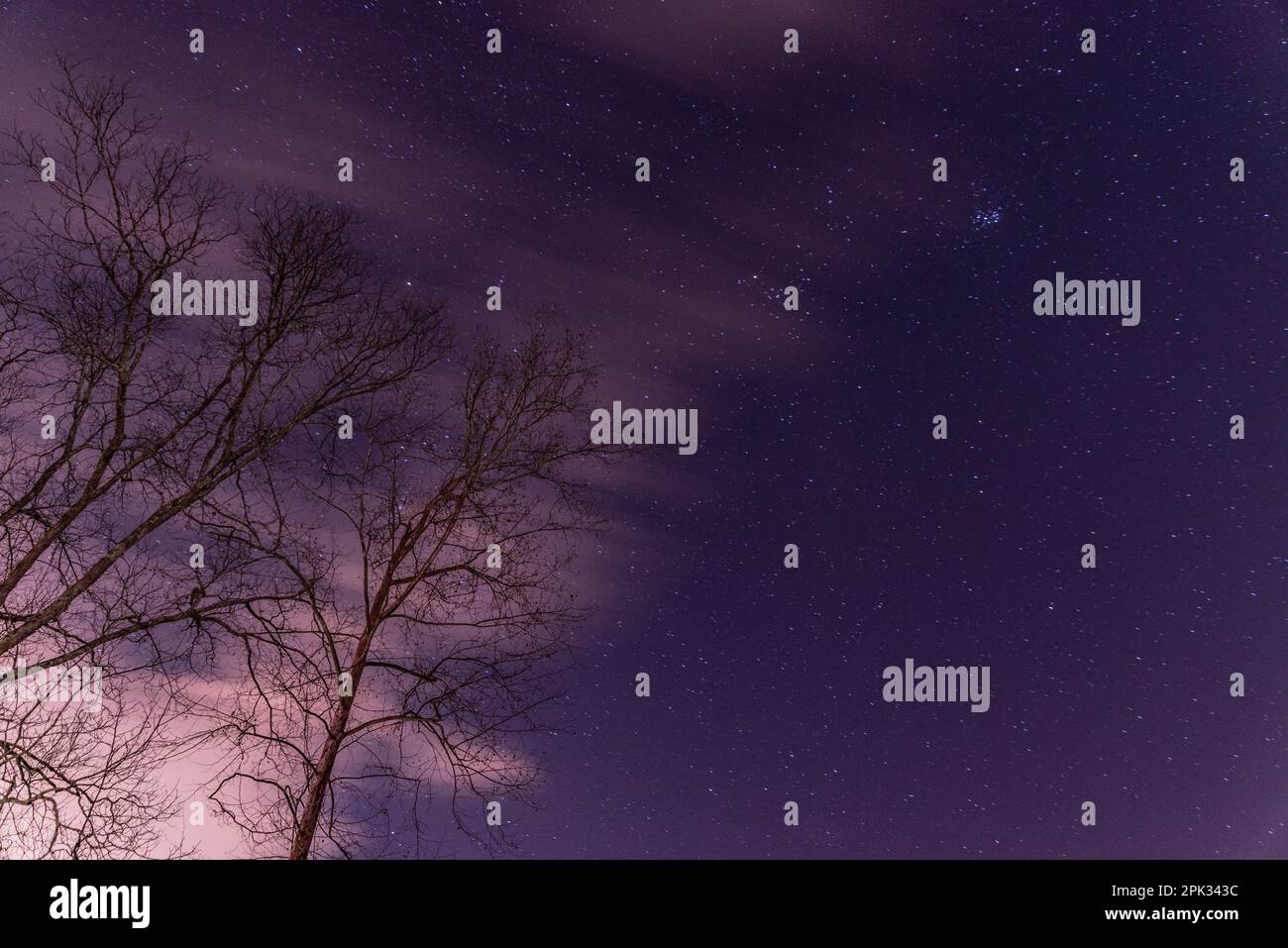Fall Purple Night Sky - Stars Stock Photo - Alamy