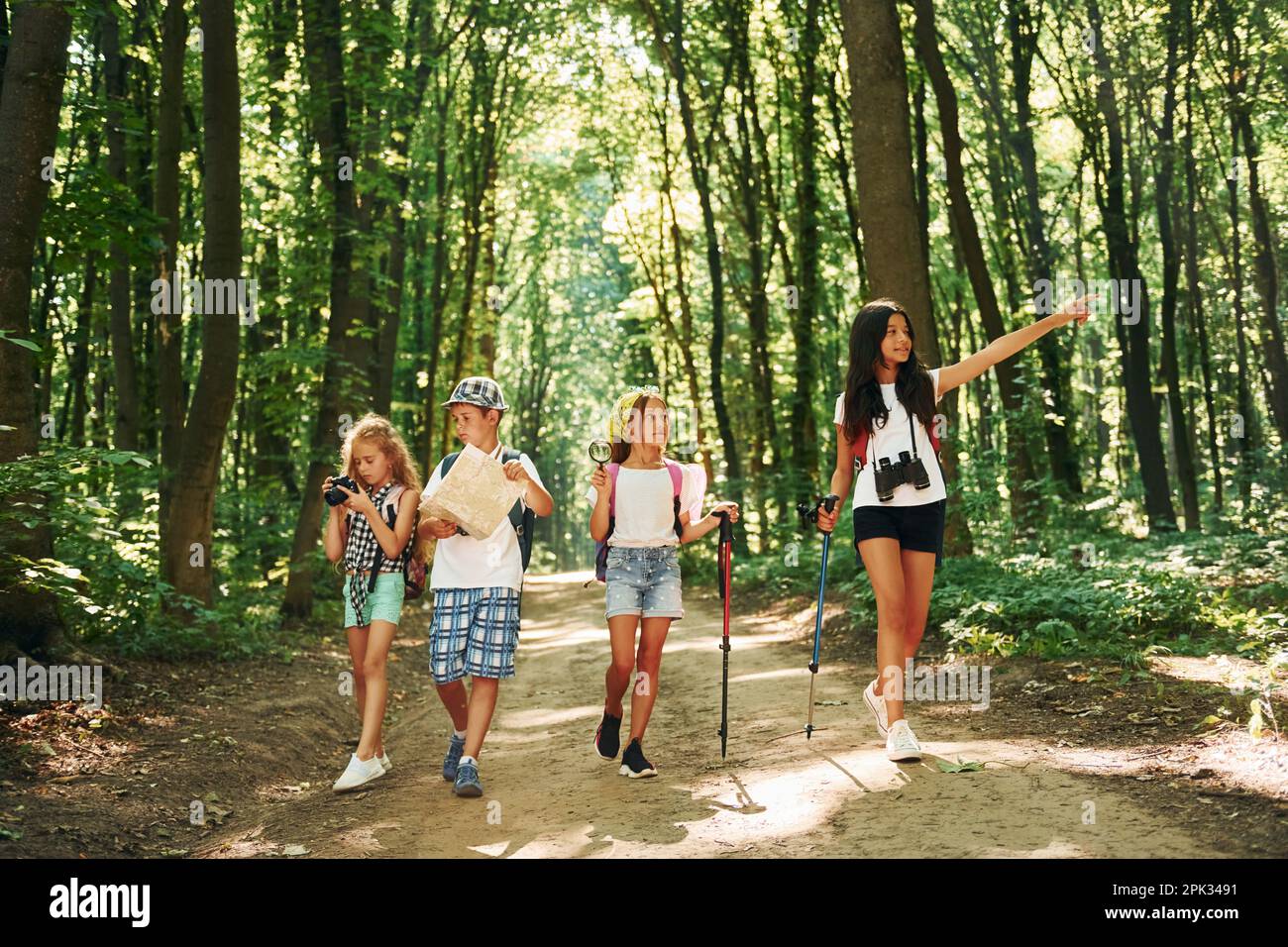 Searching for the path. Kids strolling in the forest with travel ...