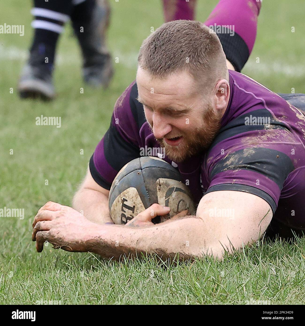 Westleigh park stadium hi-res stock photography and images - Alamy