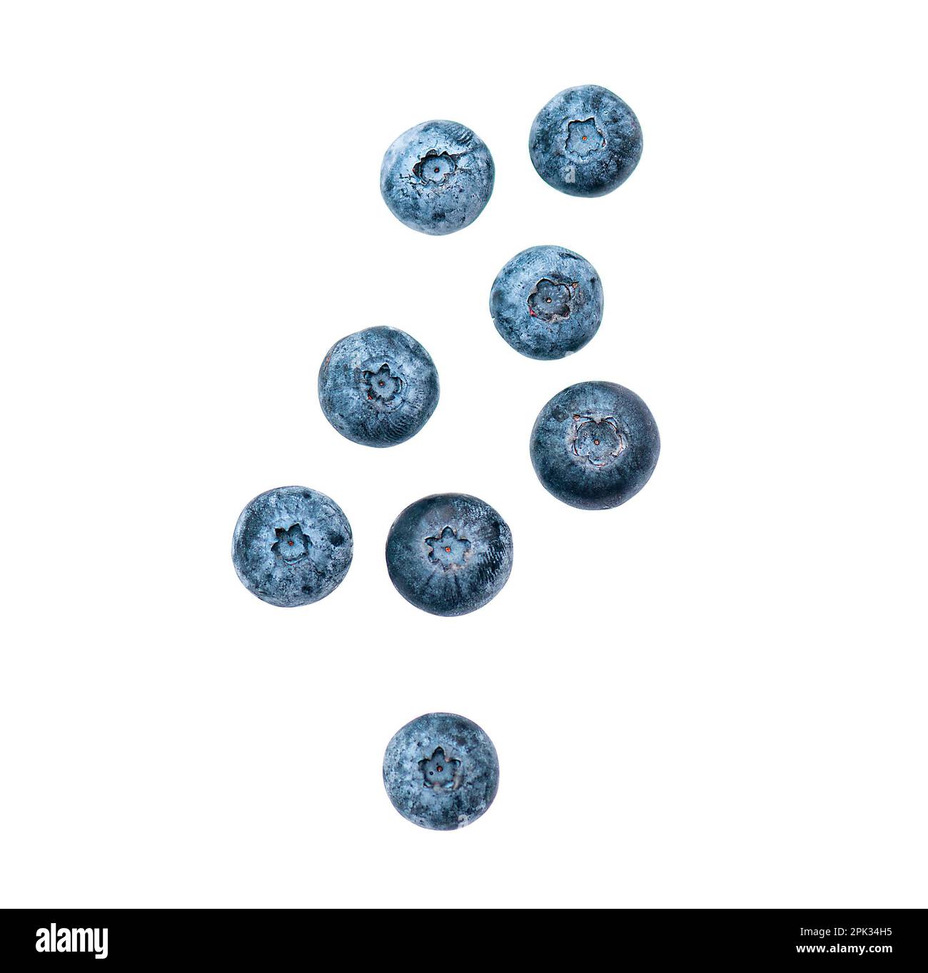 Wild sweet blueberry, berries falling and flying in the air isolated on ...