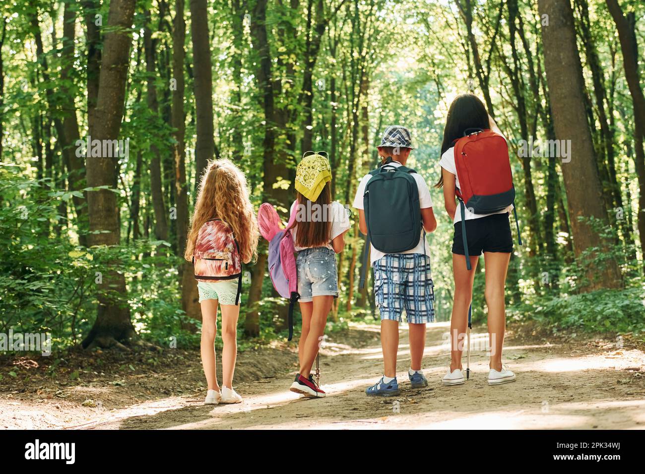 Looking for a path. Kids strolling in the forest with travel equipment ...