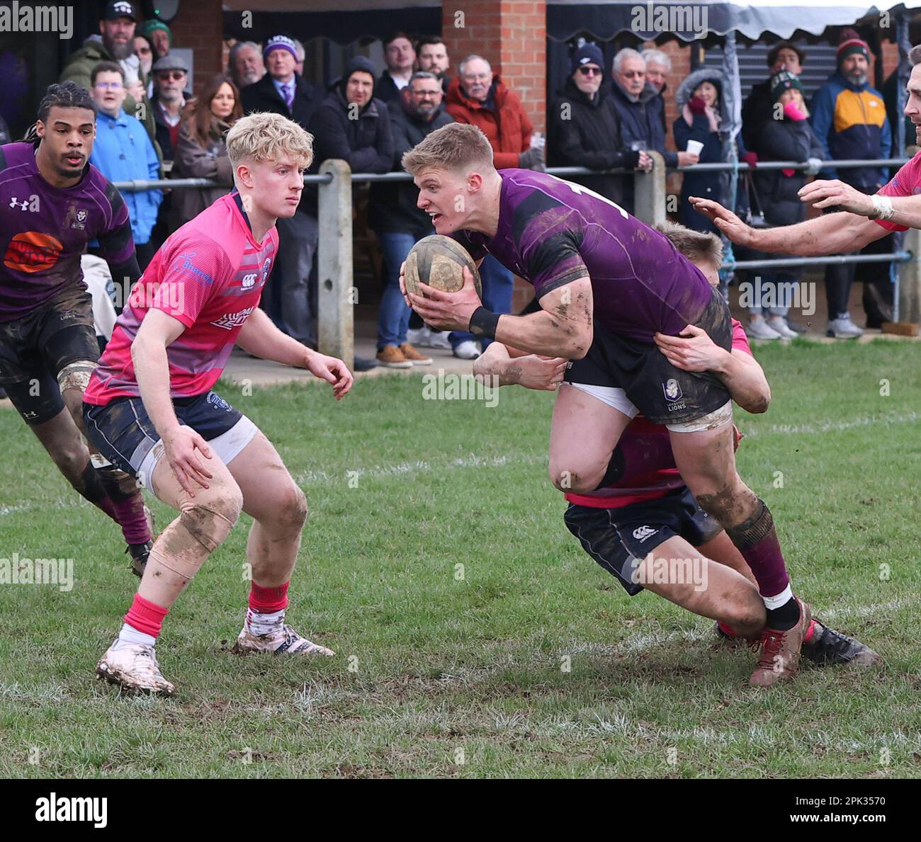 Westleigh park stadium hi-res stock photography and images - Alamy