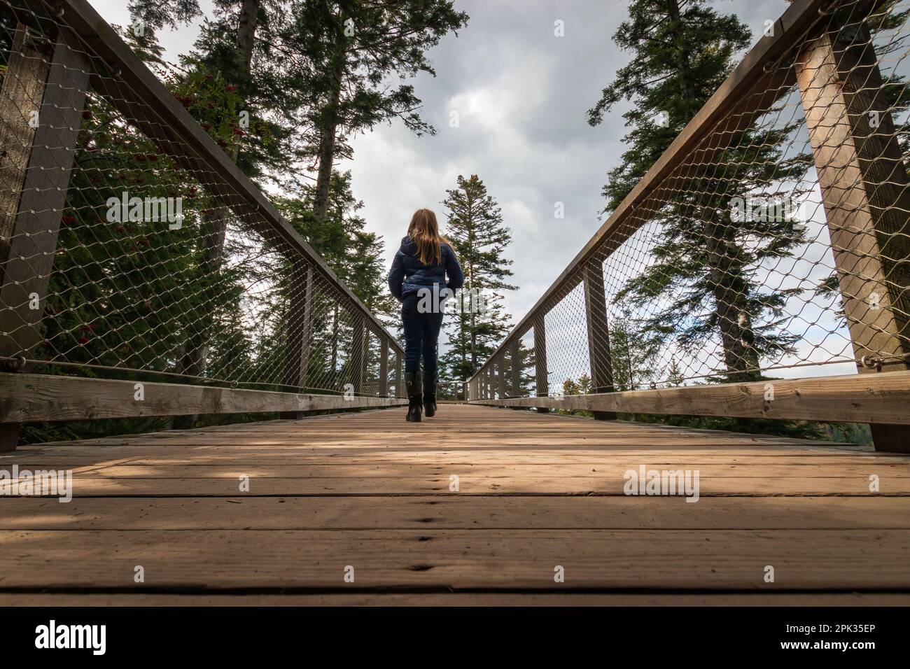 Girl walking on forest path and trail of the treetop path called ...