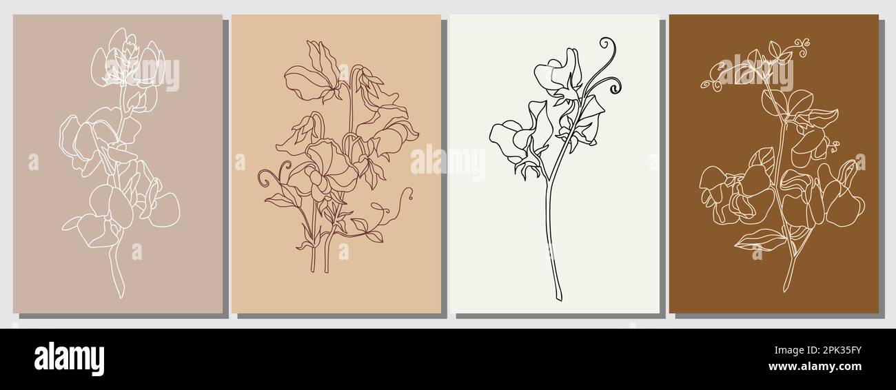 Sweet Pea April birth month flowers vector art Stock Vector Image & Art ...