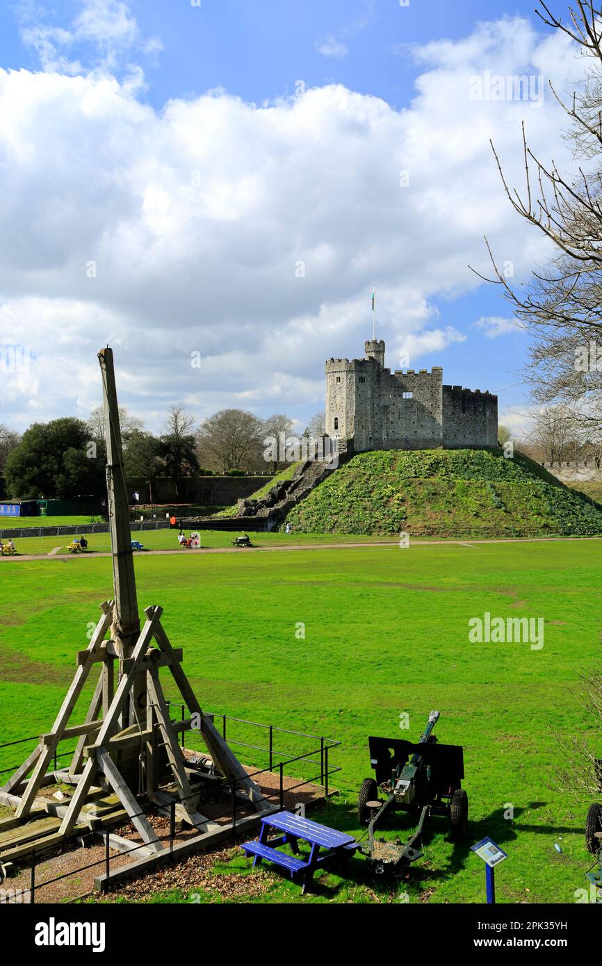 Trebuchet medieval hi-res stock photography and images - Alamy