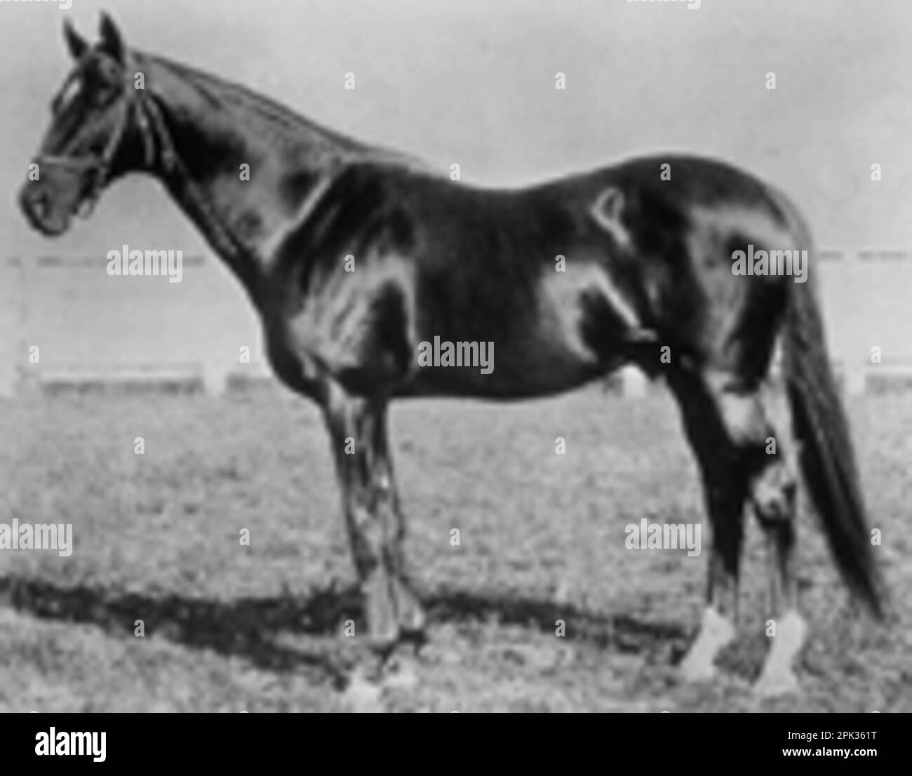 Fonso hi-res stock photography and images - Alamy