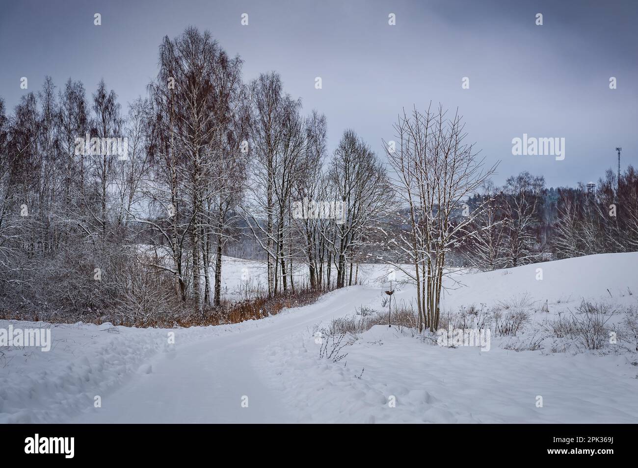 Empty road with snow banks on sides on cloudy winter day Stock Photo - Alamy