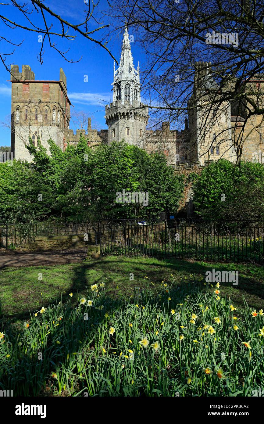 Daffodils castle tower spring hi-res stock photography and images - Alamy