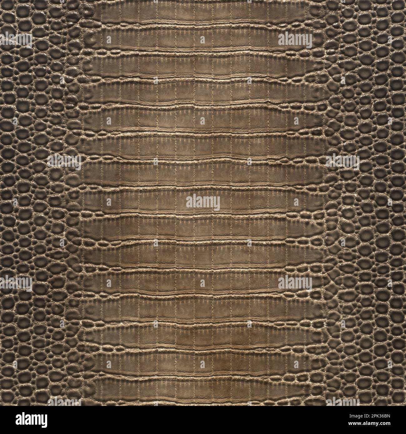 Genuine crocodile belly leather. Brown crocodile skin texture for ...