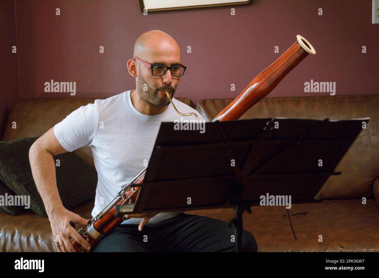 front view of young latino man of venezuelan ethnicity, bald with ...