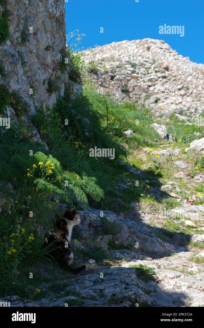 medieval architecture, the castle town of Mystras. Mistras, Greece ...