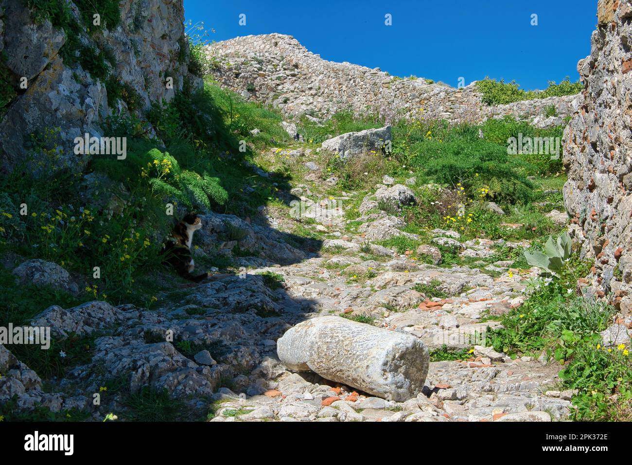 medieval architecture, the castle town of Mystras. Mistras, Greece ...
